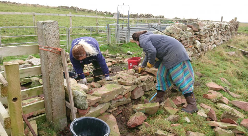 Dry stone dyke building | North Isles Landscape Partnership Scheme